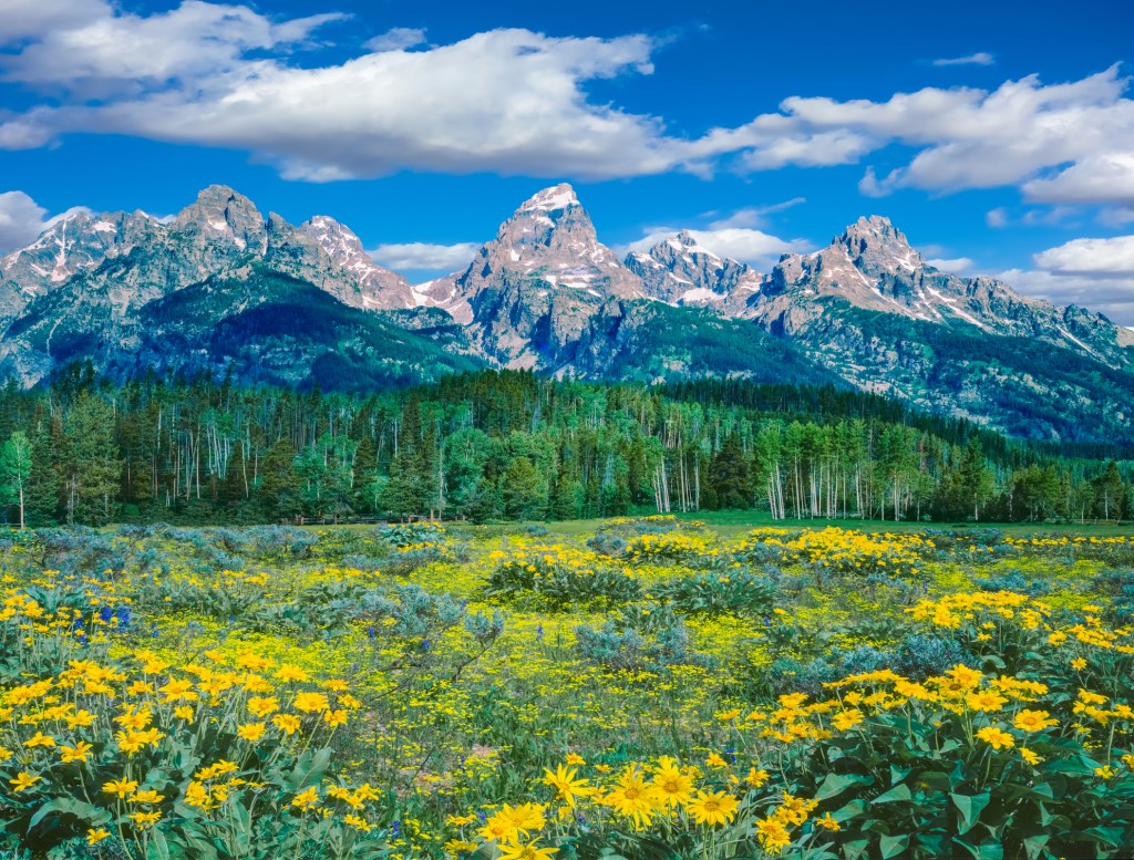 Allow These Breathtaking National Park Photos To Inspire Your Next Trip