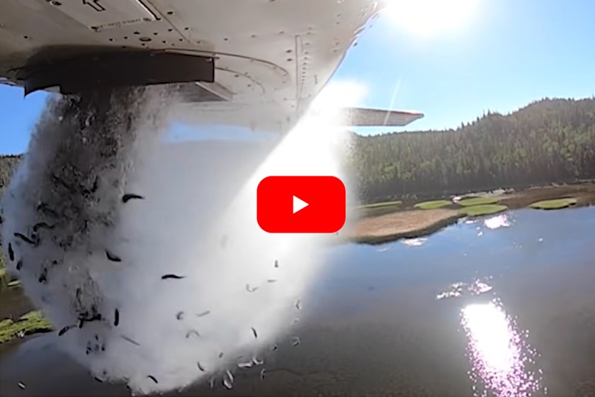 Aerial Fish Stocking Helps Utah DWR Populate High Elevation Mountain ...