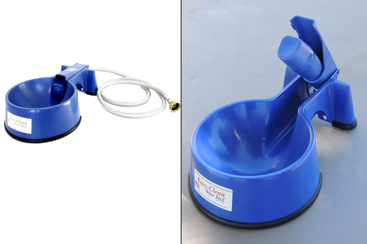 Why The Easy-Clean Water Bowl Is a Must for Homesteads