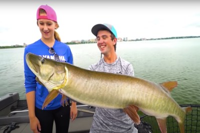 Kayakers Film Hungry Muskie Swimming Around With Full-Grown Northern ...