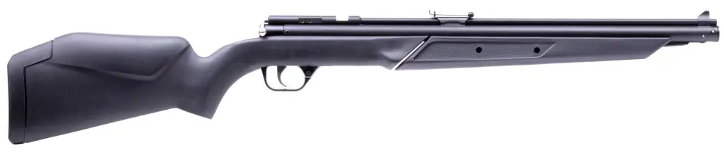 Best Pellet Guns: 5 Air Guns Great for Small Game Hunting