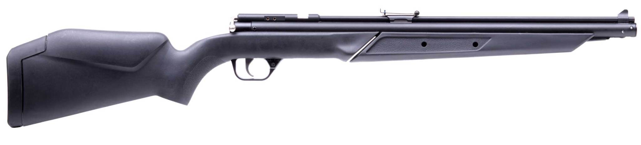 Best Pellet Guns: 5 Air Guns Great for Small Game Hunting