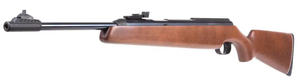 Best Pellet Guns: 5 Air Guns Great for Small Game Hunting