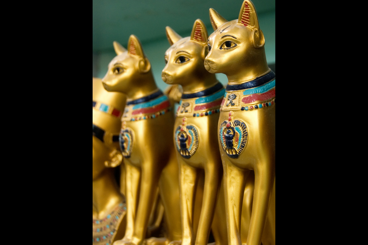 Ancient Egyptians and Cats: What Started This Eternal Love Affair?