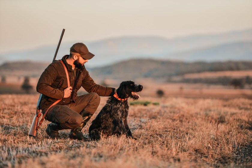 Dove Hunting 101: Tips and Tactics for Beginners