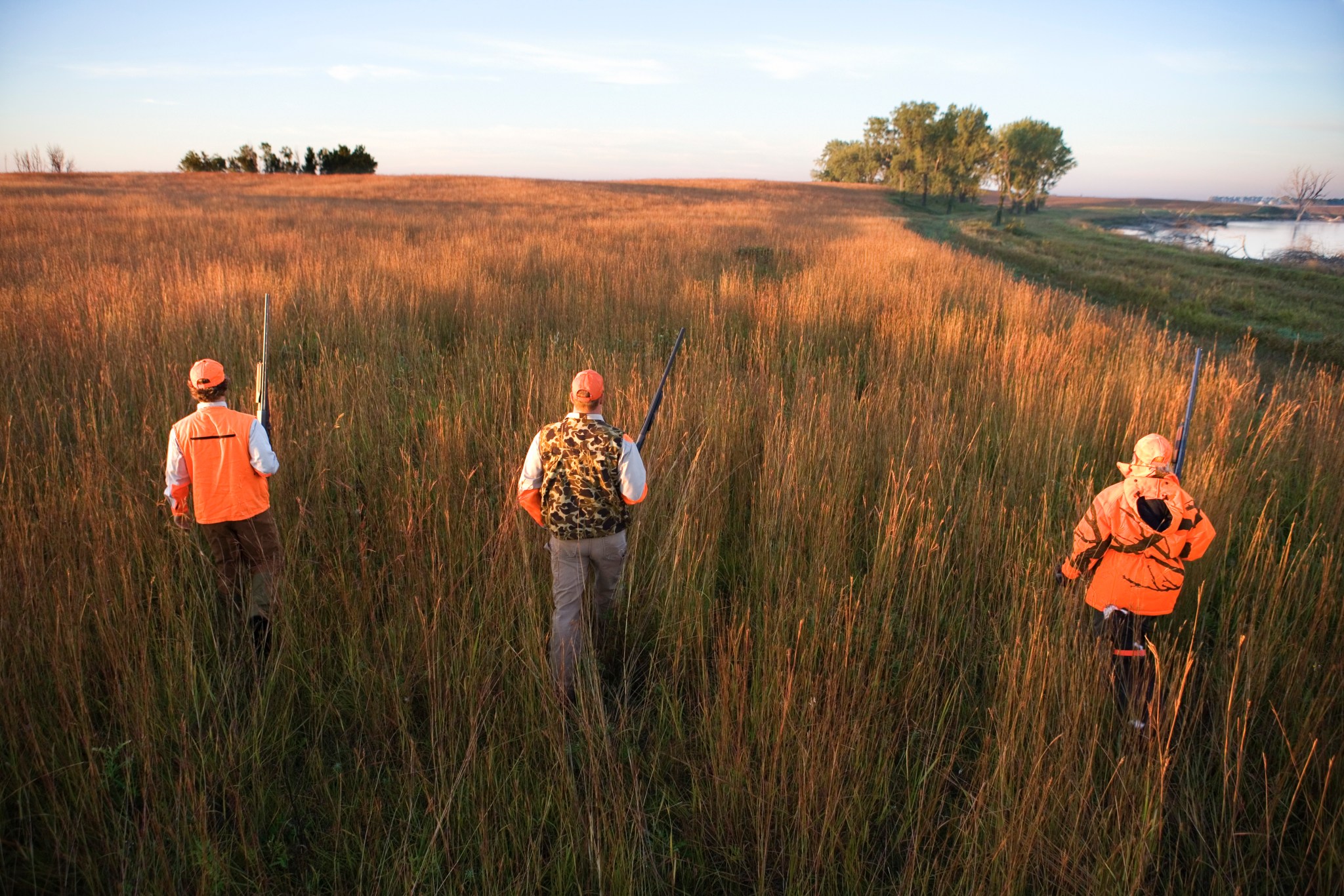 Dove Hunting 101: Tips and Tactics for Beginners