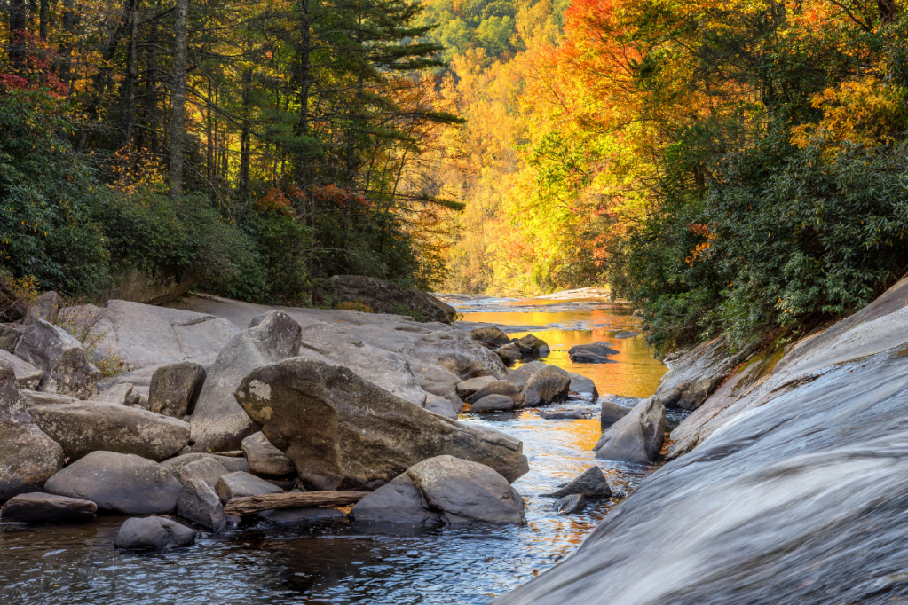 Gorges State Park: 7,500-Acres of Waterfalls in the Carolinas