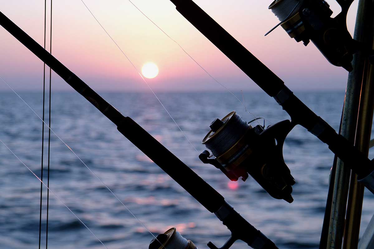 5 Charter Fishing Trips That Show the Featured Variety of American ...