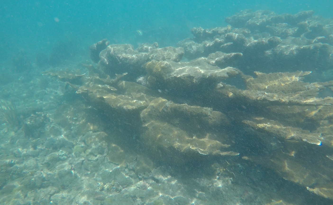 Diving In: An Outdoorsman's Trip to Beautiful Puerto Rico - Wide Open ...