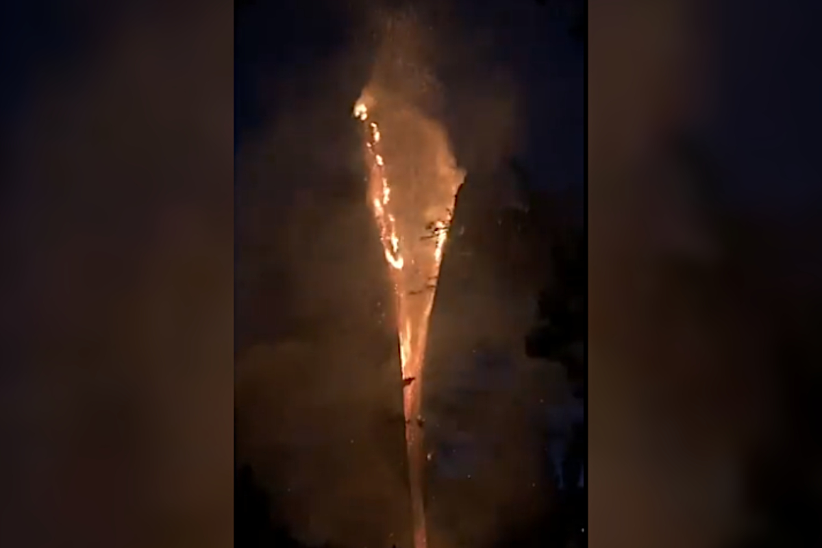 Tree Burns and Splits Perfectly in Half After Lightning Strike - Wide ...