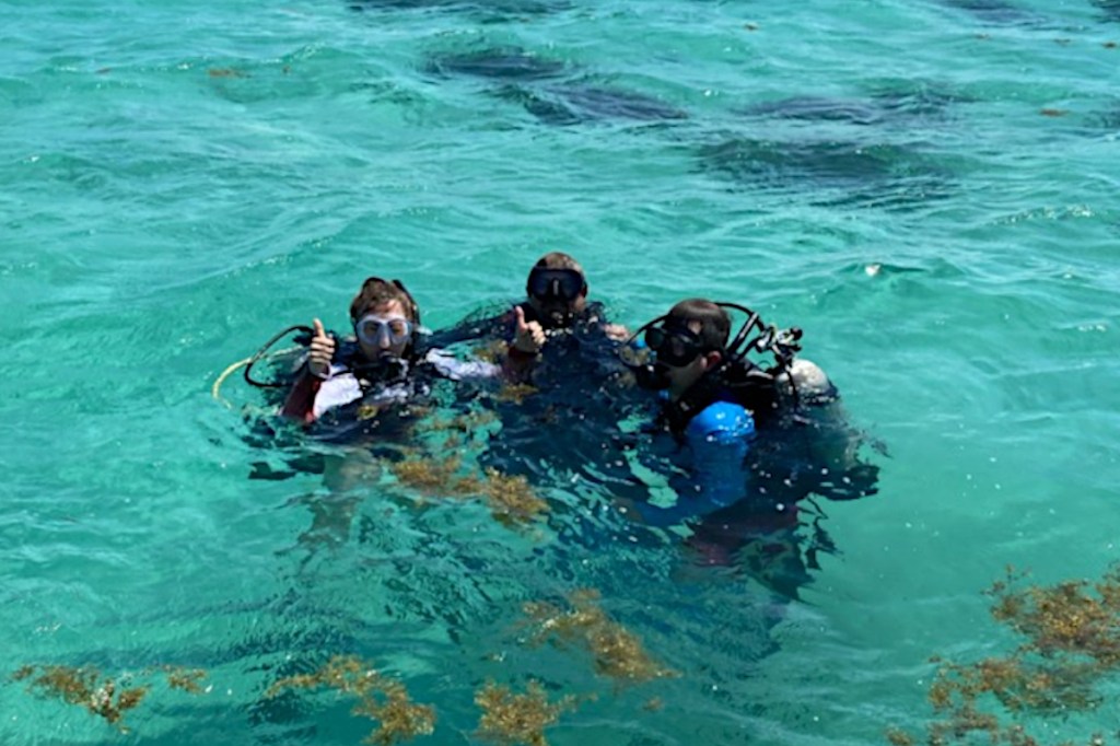Diving In: An Outdoorsman's Trip to Beautiful Puerto Rico - Wide Open ...