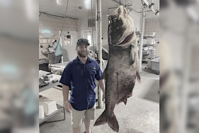 You'll be Amazed by These Incredible Midair Bowfishing Shots - Wide ...
