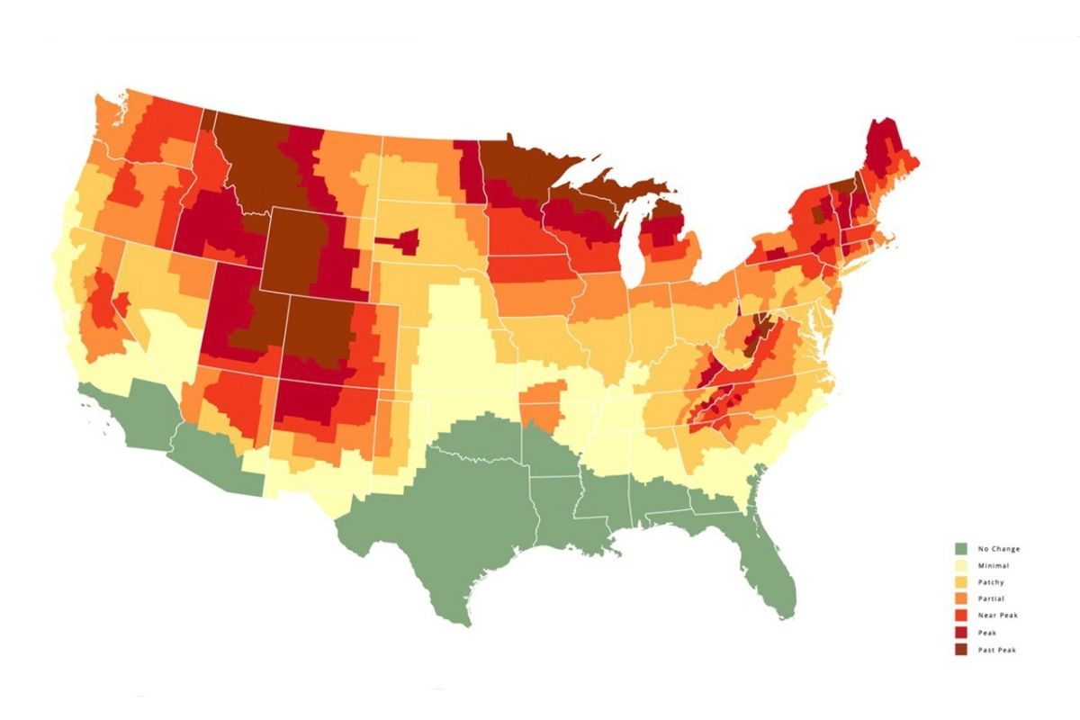 Fall Foliage Map 2023: Where to Go to See the Colors of Fall