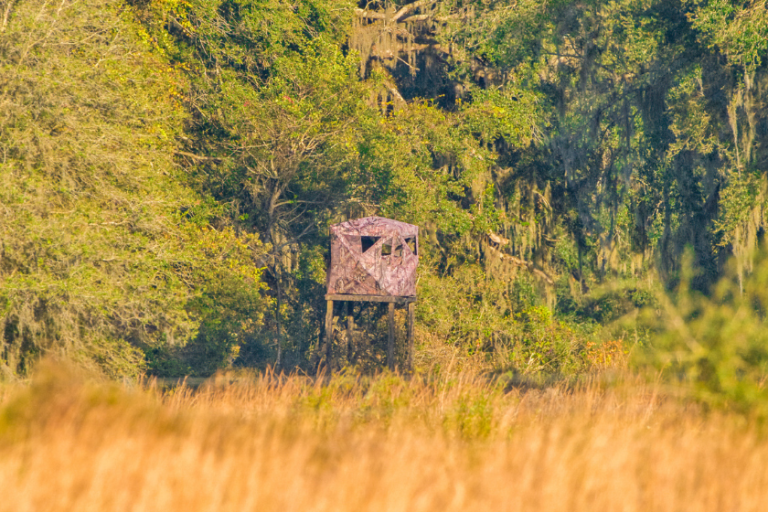 10 Worst Deer Hunting States in America