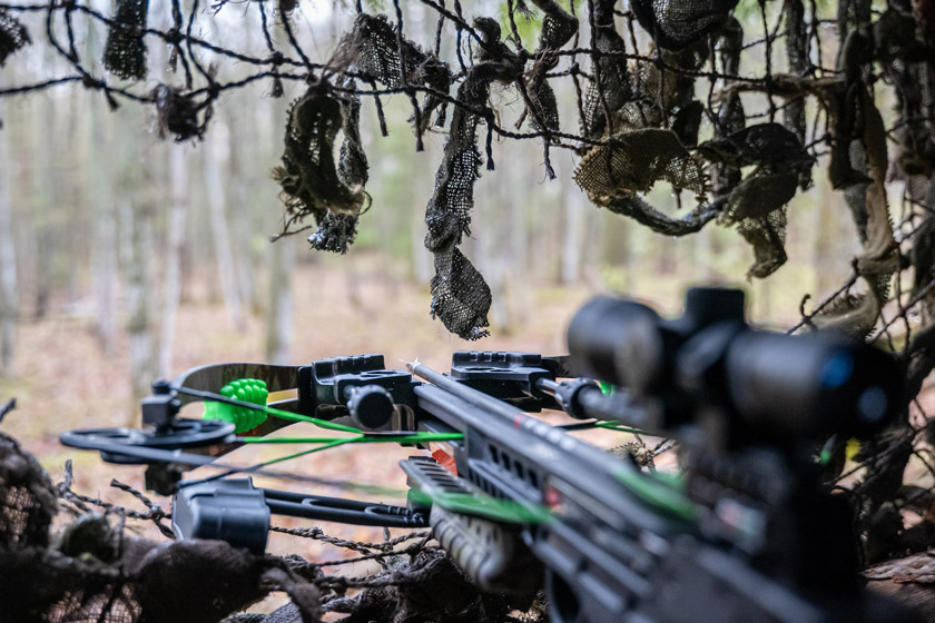 Crossbow Hunting: The Pros and Cons of Making the Switch