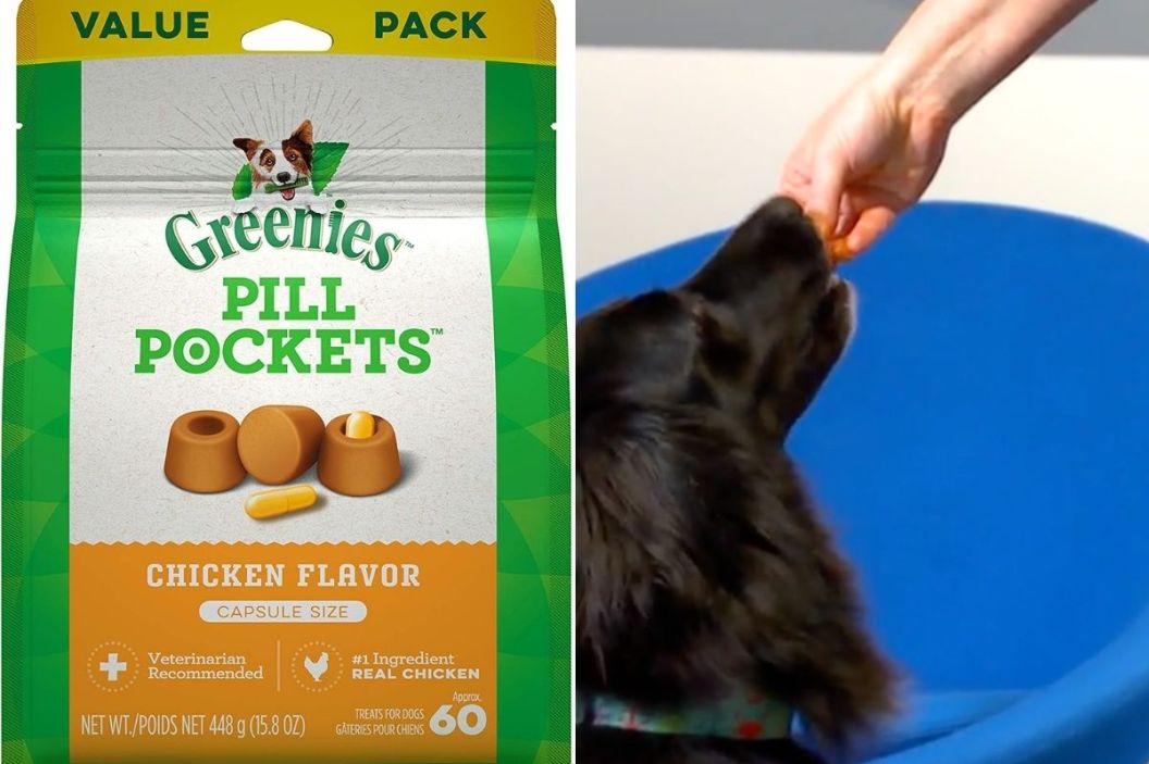 Pill Pocket Treats for Dogs: Best of 2021 for Tablets & Capsules