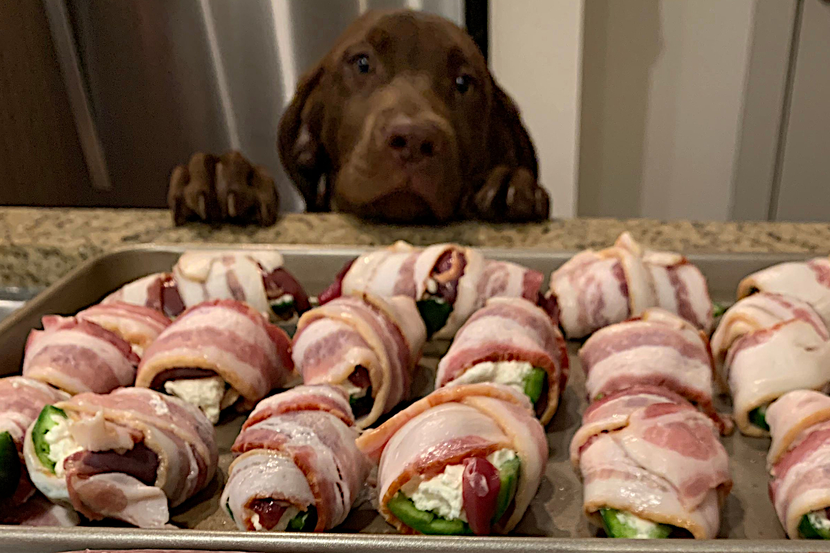 How to Breast a Dove and Make Amazing Bacon-Wrapped Jalapeno Poppers ...