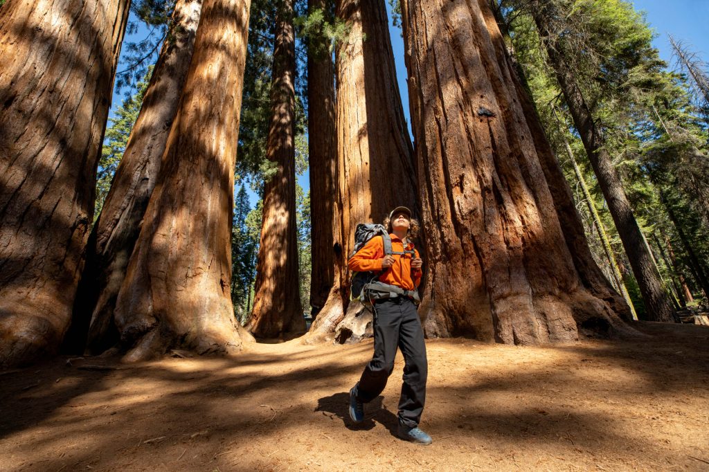 Fall Camping in California: What to Know and Where to Go - Wide Open Spaces