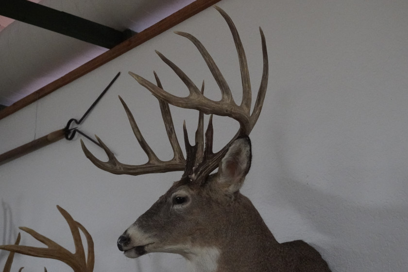 The Milo Hanson Buck: The Story and Value of the World Record Buck
