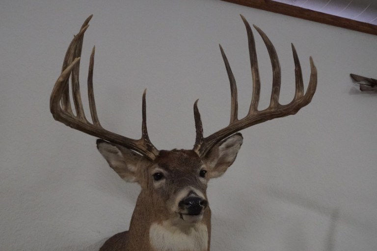 The Milo Hanson Buck: The Story and Value of the World Record Buck