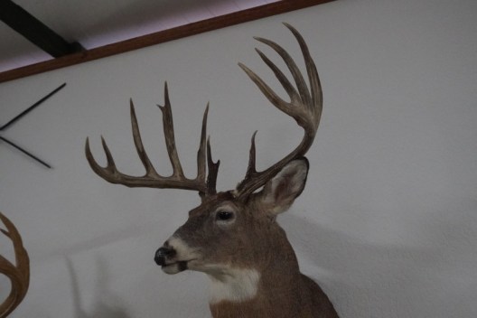 The Milo Hanson Buck: The Story the World-Record Buck