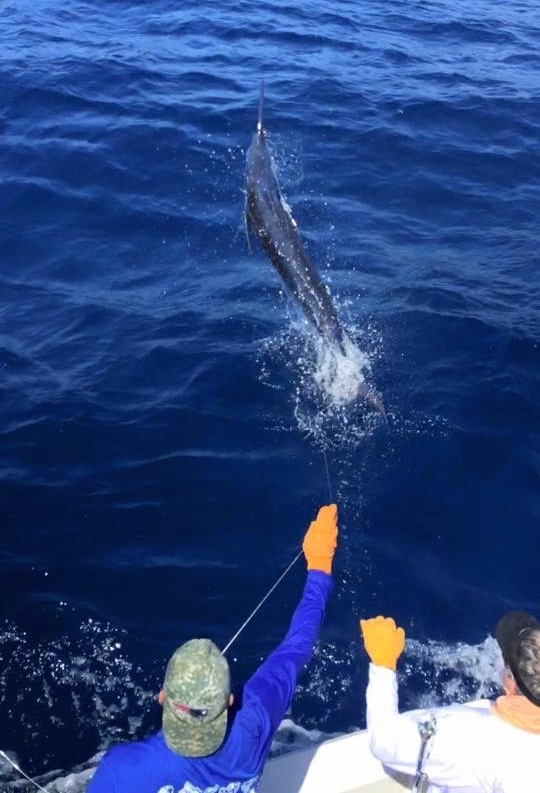 Puerto Rico Fishing: Everything to Know About Angling This Caribbean ...