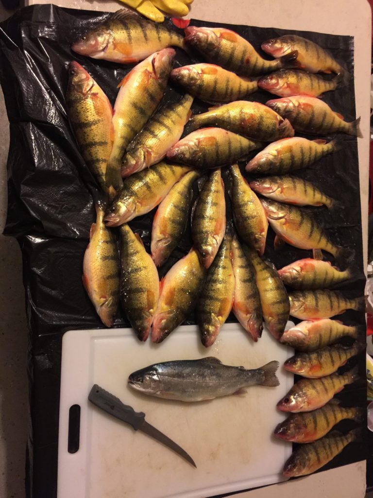 The Angling Journey: 5 Stages of Being a Fisherman or Woman - Wide Open ...