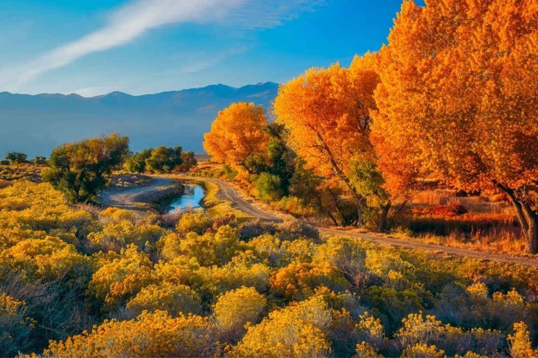 Best Places to See Fall Colors in California: NoCal or SoCal?
