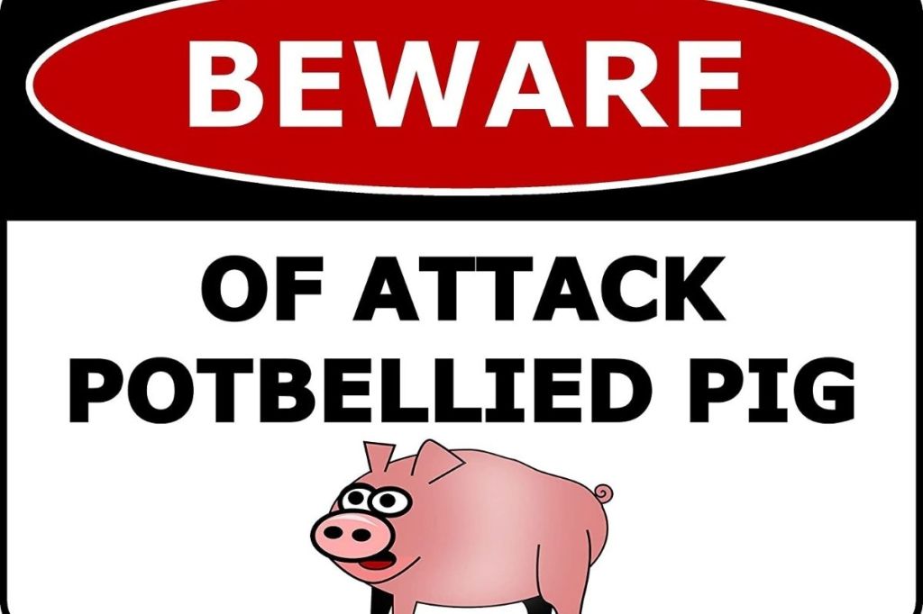 $9 Beware of Pig Sign Will Warn Visitors of Your Friendly Farm Animals