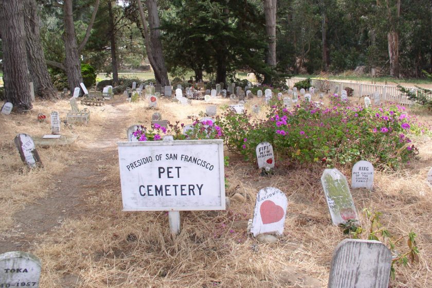 Pet Cemeteries: Final Resting Place or Spooky Haunt?