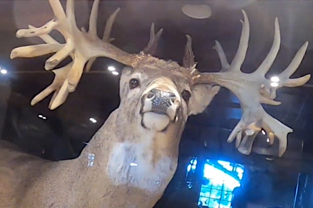 Missouri Monarch Buck: The Largest Wild Whitetail That Ever Lived