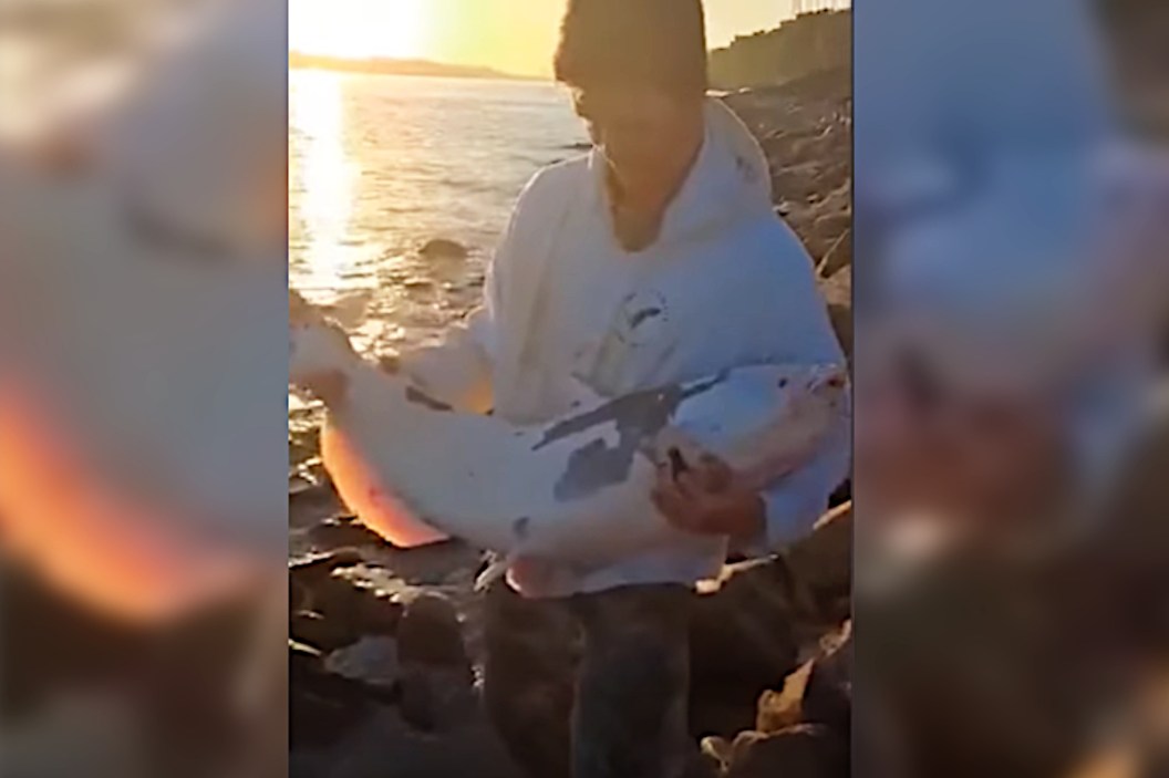 Flashback to the Tennessee Woman Landed the Catfish of a Lifetime ...