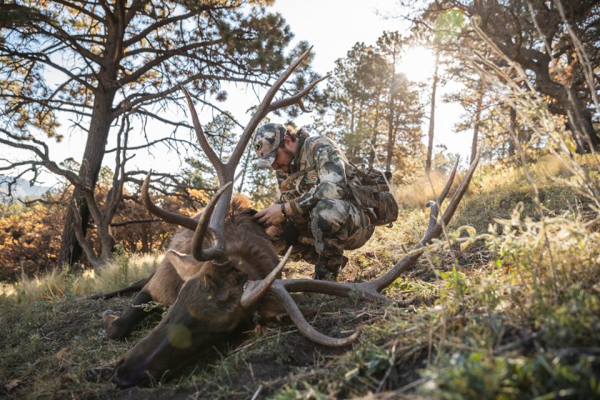 Trophy Hunting Key to Endangered Big Game Conservation