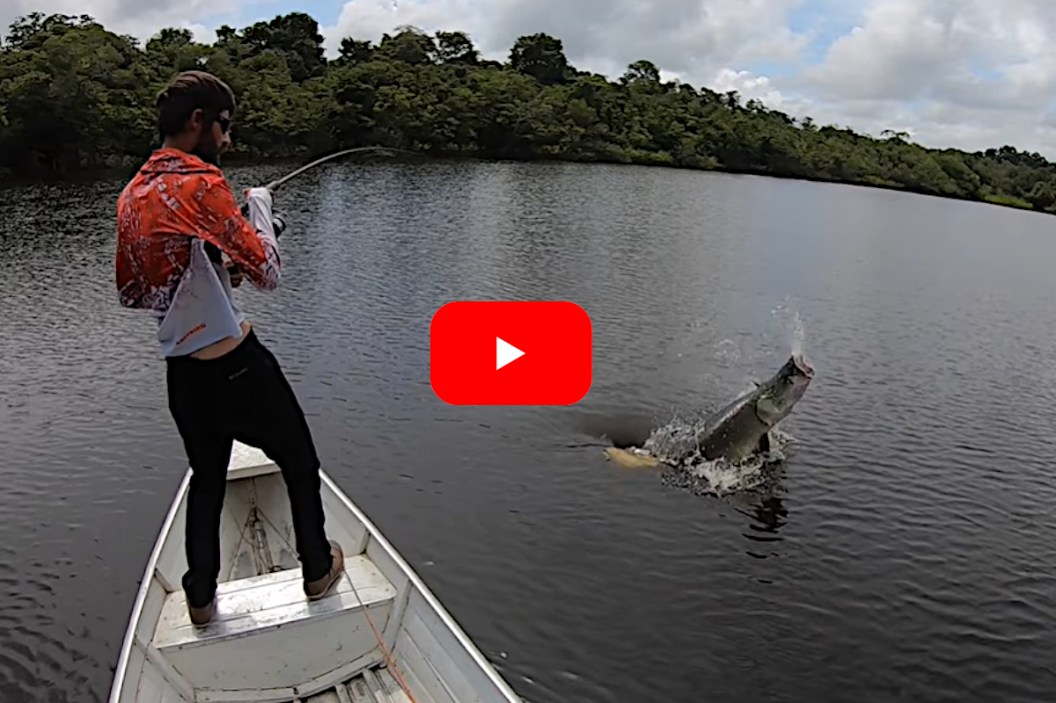 Jeremy Wade Catches a Monstrous 250-Pound Arapaima on a Fly Rod - Wide ...