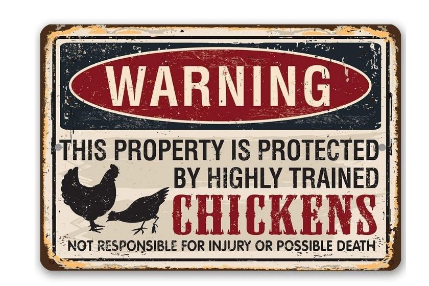 $13 Funny Protected by Chickens Sign Is Going to Crack up the Neighbors