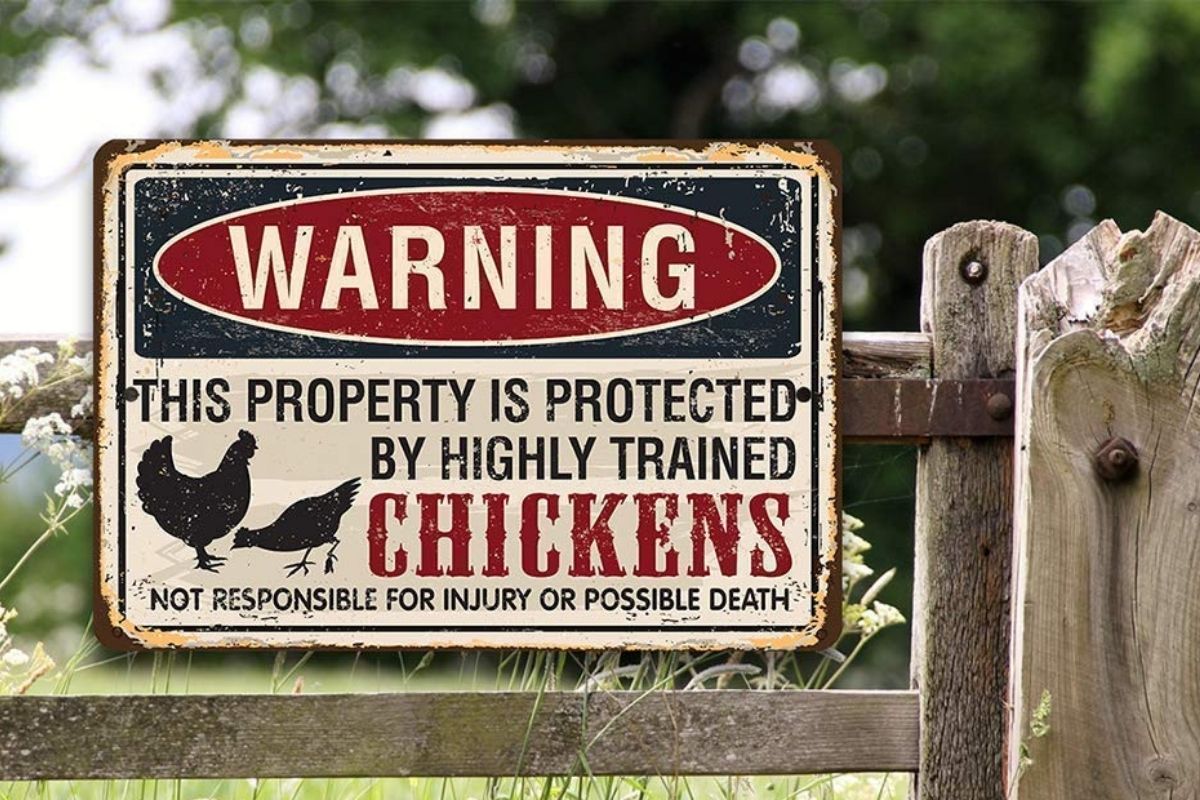 $13 Funny Protected by Chickens Sign Is Going to Crack up the Neighbors