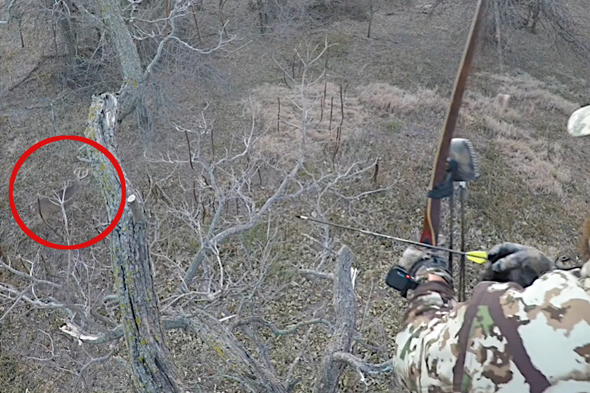 Traditional Archer Makes Great Shot on Large Kansas Buck With a Longbow ...