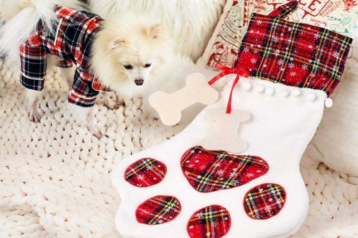 3 Affordable Christmas Stockings for Dogs: Fun Shapes & Personalization!
