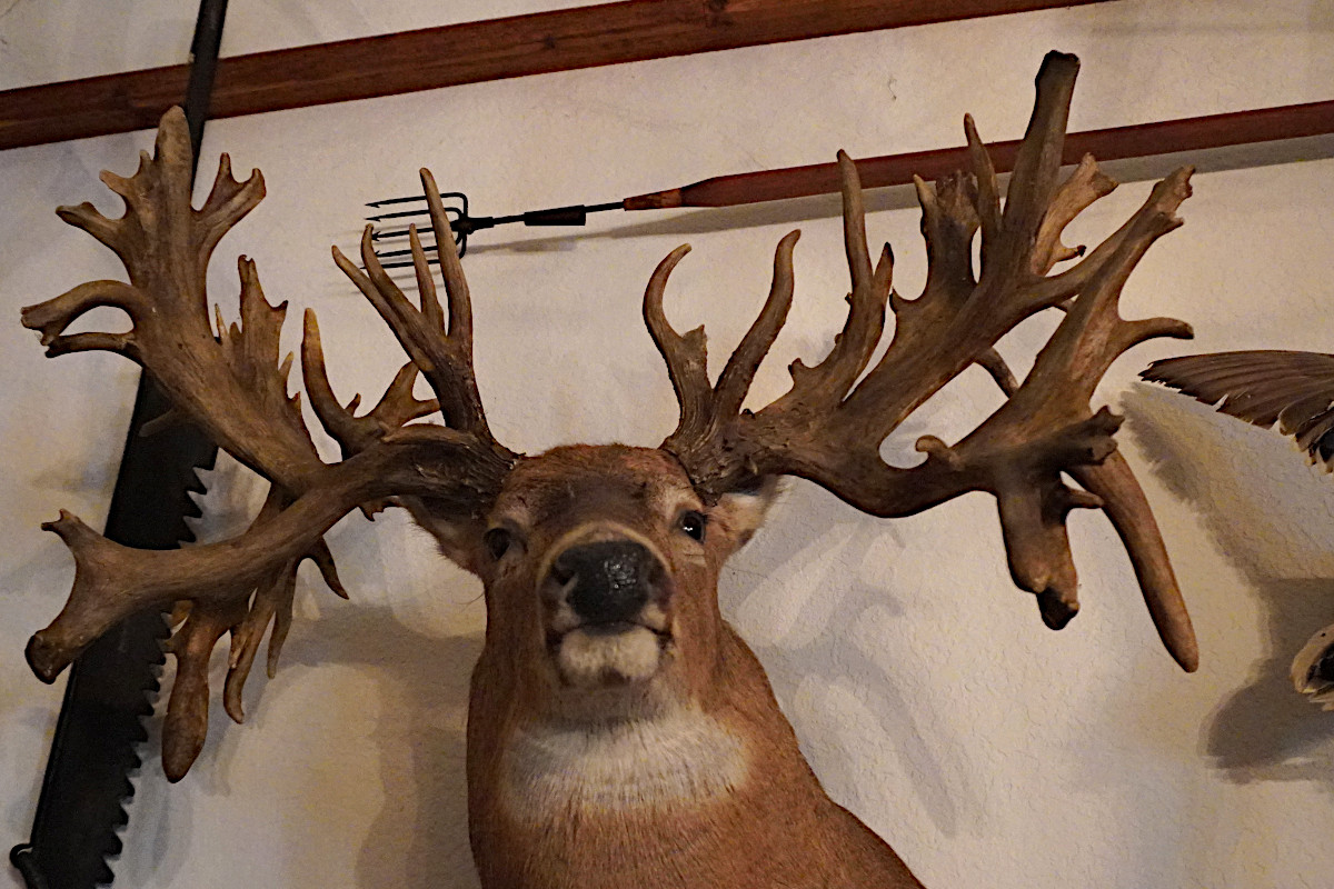 Vintage Mitch Rompola Interview Gives Rare Insight Into the Mind of the ...