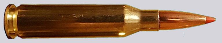 5 Best Deer Hunting Calibers for Women, What Sets Them Apart