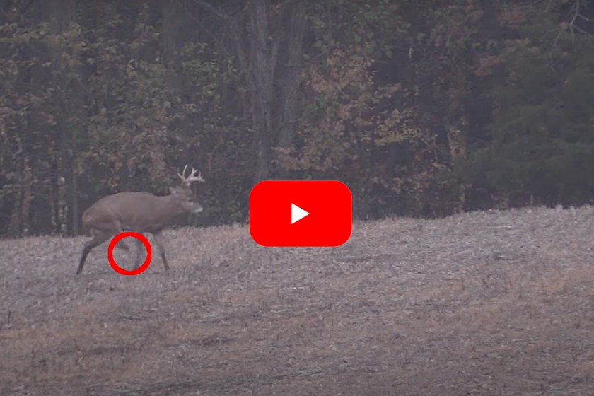 3-Legged Michigan Buck Sends Hunter on Multi-Year Quest - Wide Open Spaces