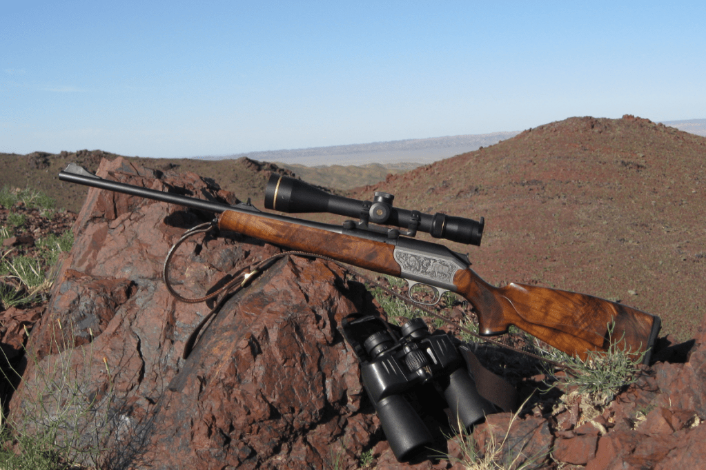 243 Winchester: Why It's The Best Caliber of All Time