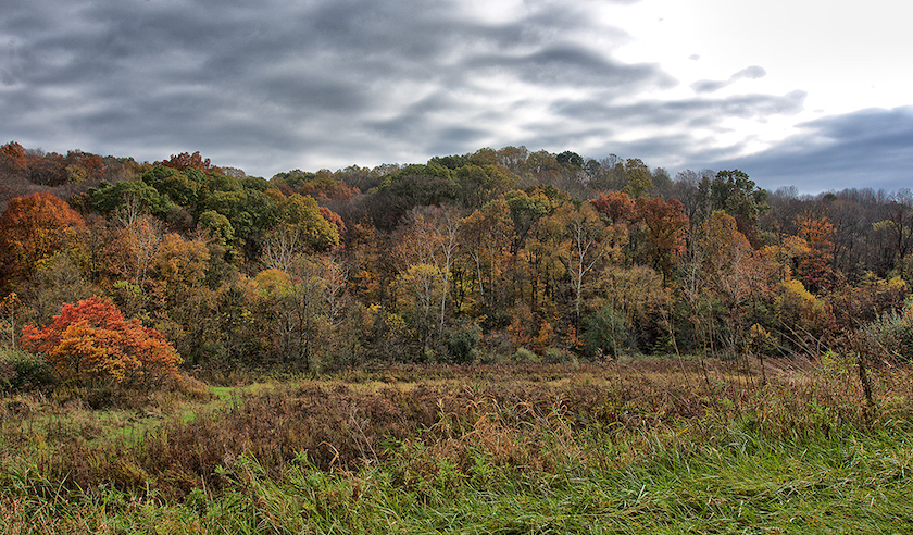 Best Ohio Public Hunting Land By Deer Density