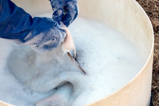 Tanning a Deer Hide: 6 Easy DIY Steps