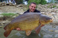 Fox Fishing for Carp is First Documented Case, Says Study