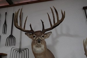 The Johnny King Buck: The Wisconsin "World Record" Whitetail That Wasn ...