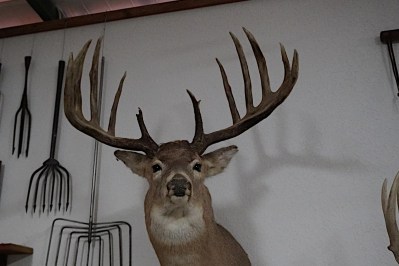 Missouri Monarch Buck: The Largest Wild Whitetail That Ever Lived