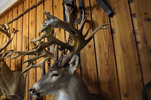The Minnesota Monarch: a Giant Buck Known Only By World Record Sheds ...