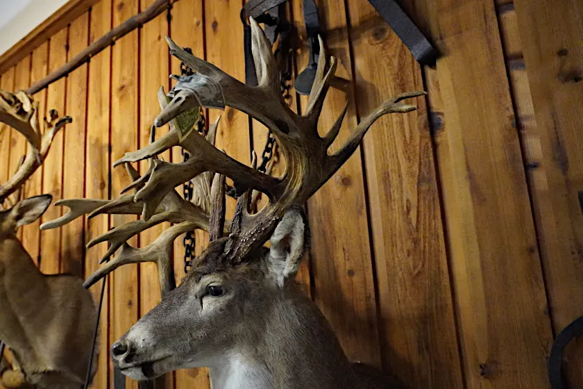 The Minnesota Monarch: a Giant Buck Known Only By World Record Sheds ...