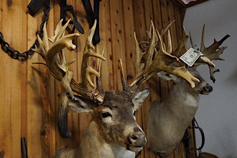 The Minnesota Monarch: a Giant Buck Known Only By World Record Sheds ...
